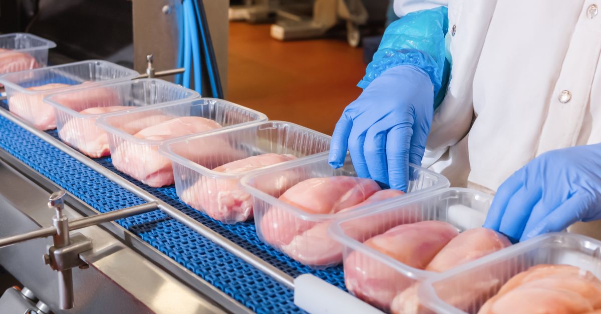 Precision and Innovation: Exploring the Art of Waterjet Food Cutting ...